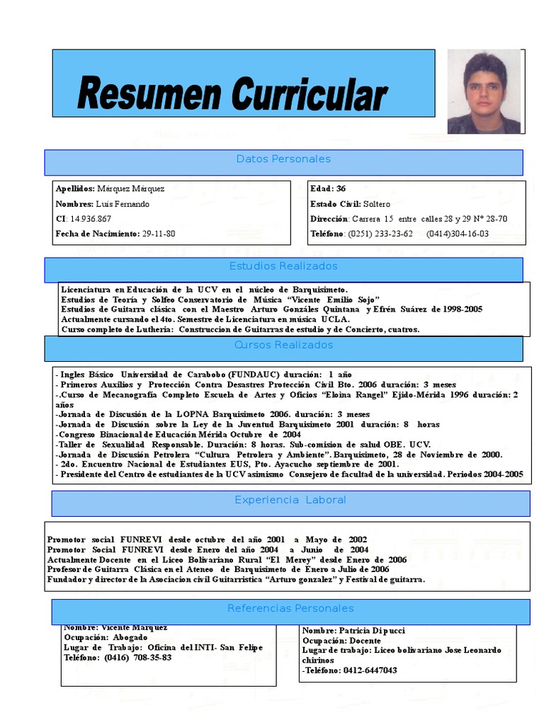 Curriculum Luis Formato Word | PDF | Escuelas | Enseñando y aprendiendo