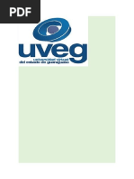 Informe de Investigación PIRMA | PDF | Marketing | Publicidad