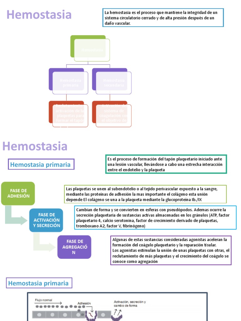TEP Caso | PDF | Hemostasia | Plaqueta