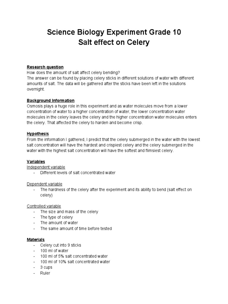 Bio Celery Experiment 10H | PDF | Experiment | Leaf
