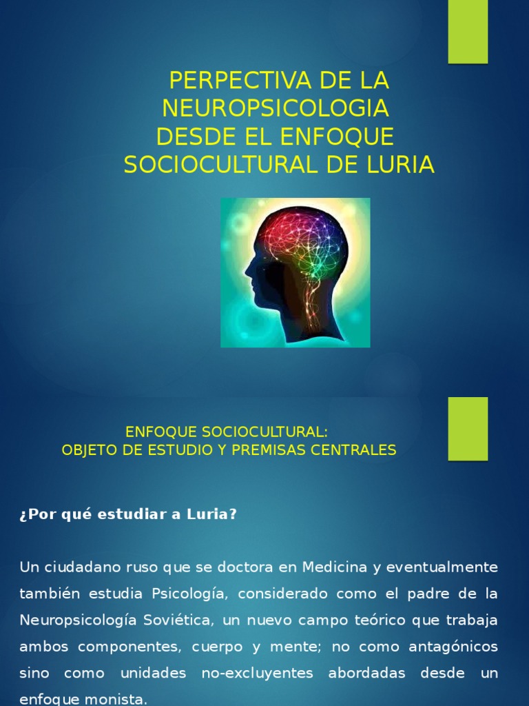 Luria Presentacion | PDF | Cerebro | Sicología