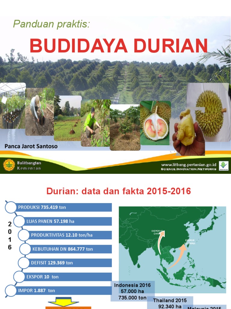 02-Panduan Praktis Budidaya Durian | PDF | Griya & Taman