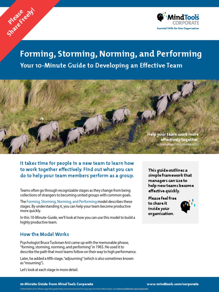 Forming Storming PDF | PDF | Goal | Leadership