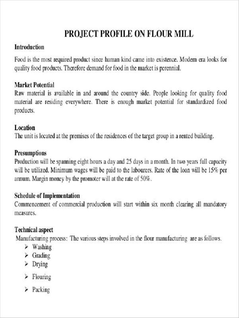 Flour Mill Project Report Example | PDF