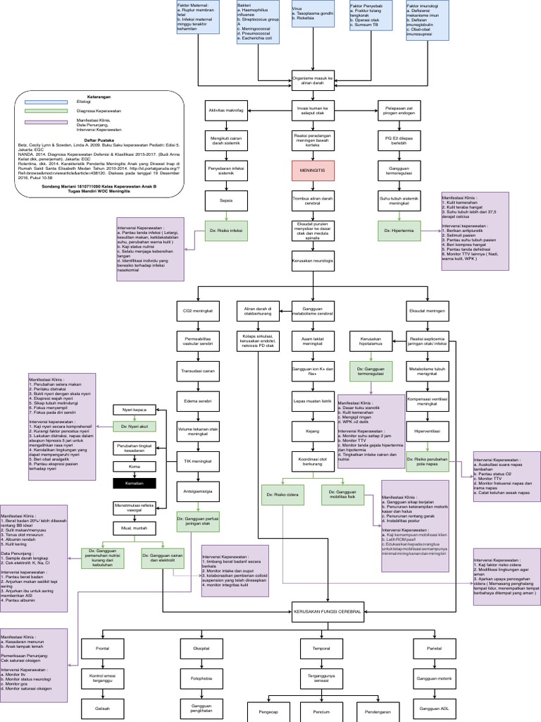 Woc Meningitis | PDF