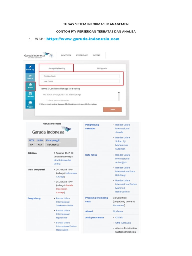 Strategi E-Bisnis Garuda Indonesia | PDF | Bisnis | Komputer