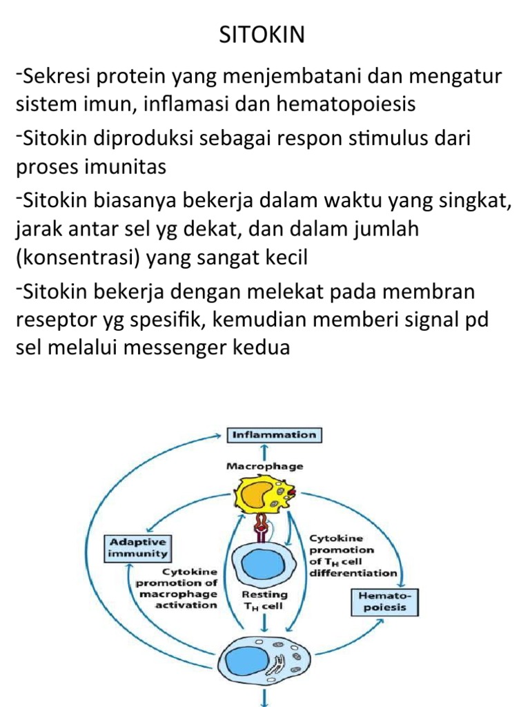 Jenis dan Fungsi Sitokin dalam Imunologi | PDF | Sains & Matematika