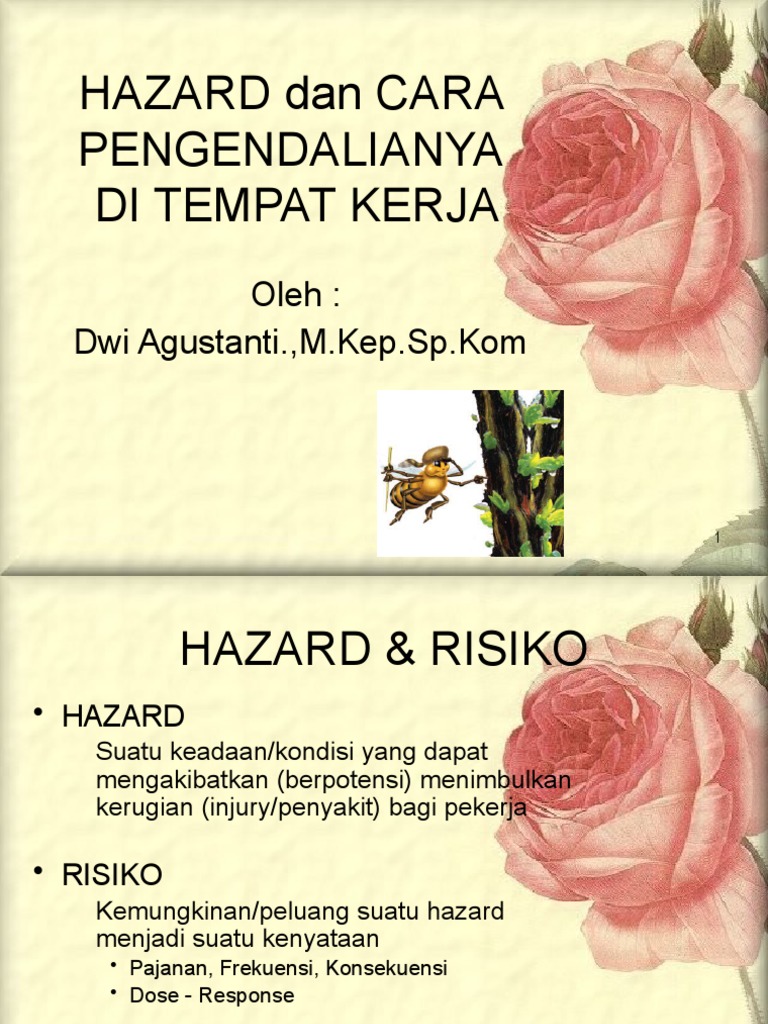 Risiko Hazard Dan Pengendaliannya | PDF | Kesehatan Holistik | Sains ...