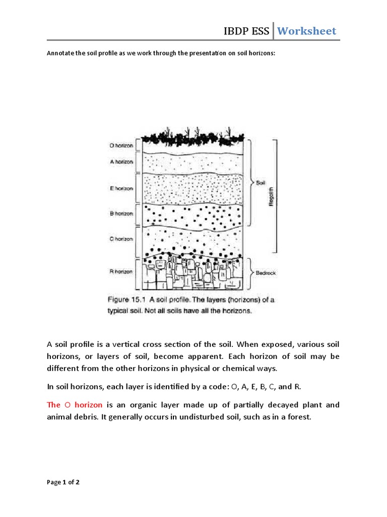 Soil Horizon Worksheet