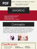 Mapa Conceptual Divorcio | PDF | Divorcio | Instituciones sociales