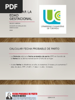 Formula Obstetrica | PDF | Bienestar