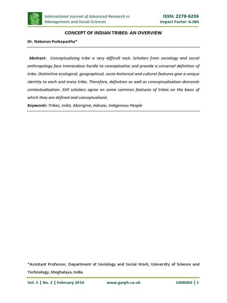 Overview of Indian Tribes Concept | PDF | Tribe | Cultural Anthropology