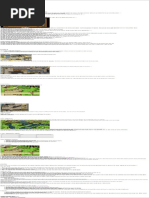 Walkthrough Adelaide Inn 2 v0 | PDF