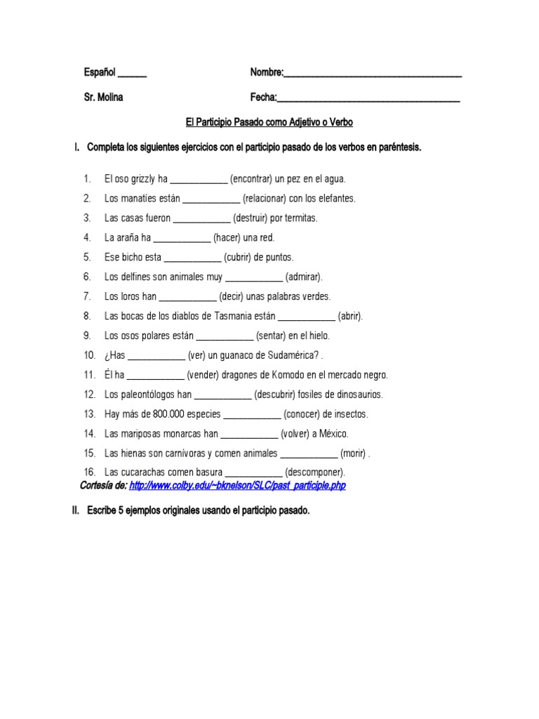 Ejercicios Con El Participio Pasado | PDF