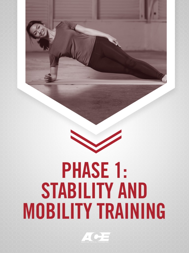 Ace Phase 1 Stability and Mobility Training PDF | PDF | Anatomical ...