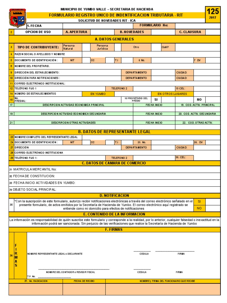 Formulario 125 - INSCRIPCIÓN RIT 2017 | PDF | Gobierno