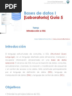 Island SQL | PDF | SQL