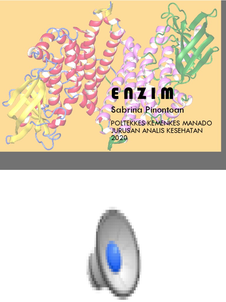 Biokimia (Enzim) PDF | PDF