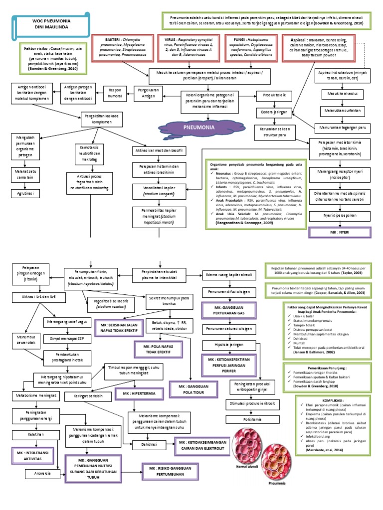 Pathway Pneumonia pada Anak | PDF