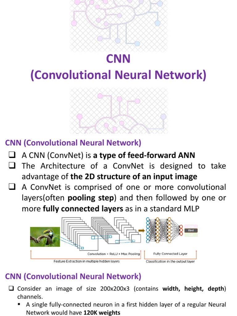03 CNN | PDF | Algorithms | Machine Learning