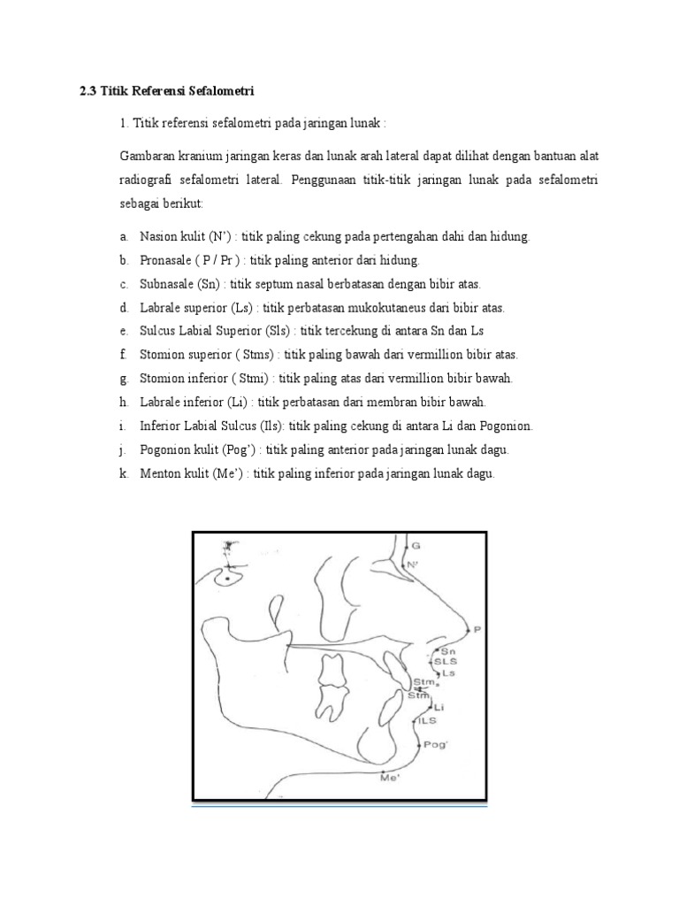 Titik Referensi Sefalometri | PDF