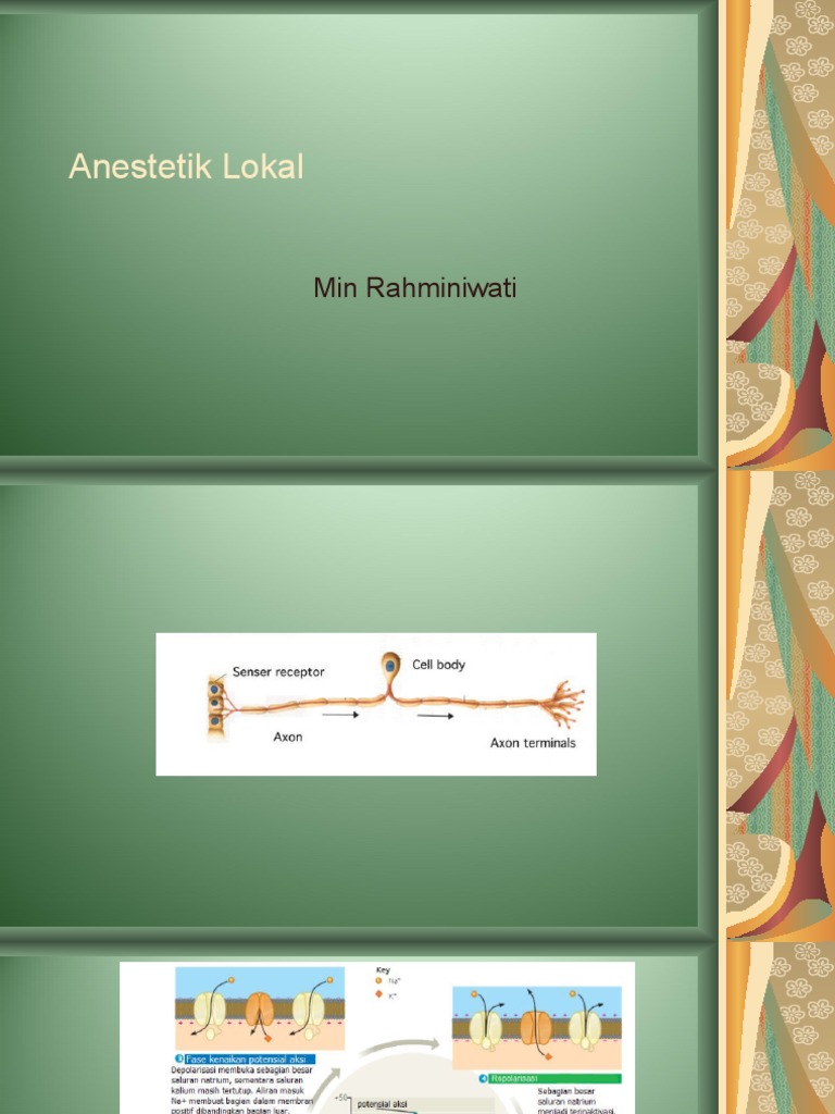 Anestesi Lokal: Mekanisme Kerja, Definisi, Efek dan Cara Pemberiannya | PDF