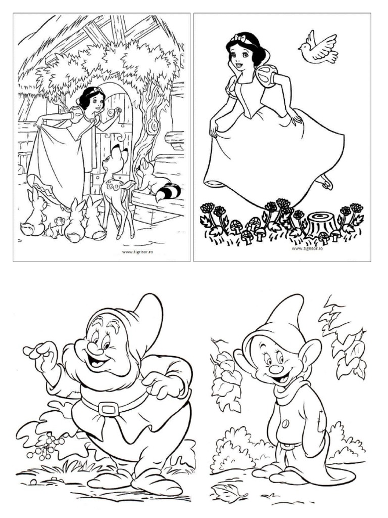 Planse Colorat | PDF