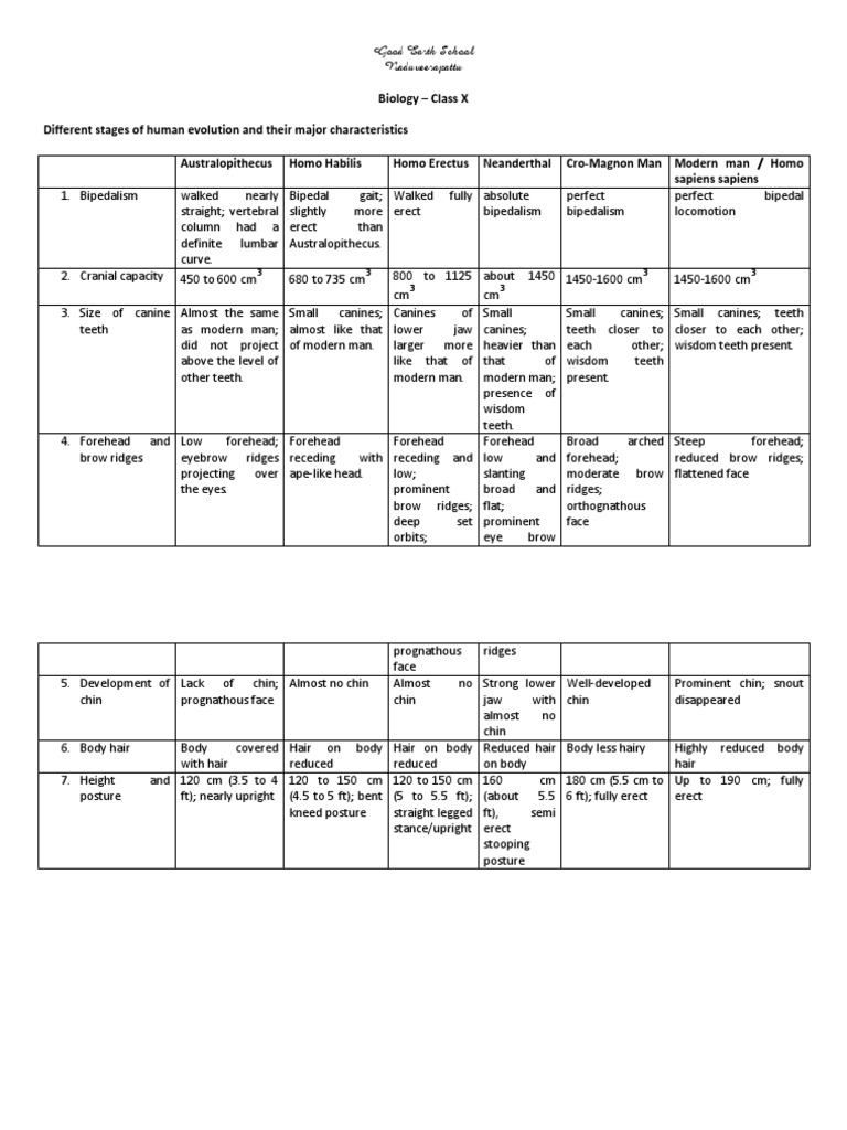 Different Stages of Human Evolution and Their Major Characteristics PDF ...