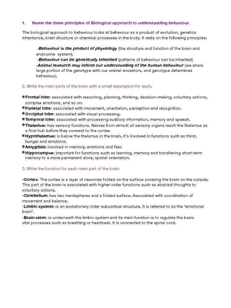 Psychology IB Biological Approach To Behaviour | PDF | Cerebral Cortex ...