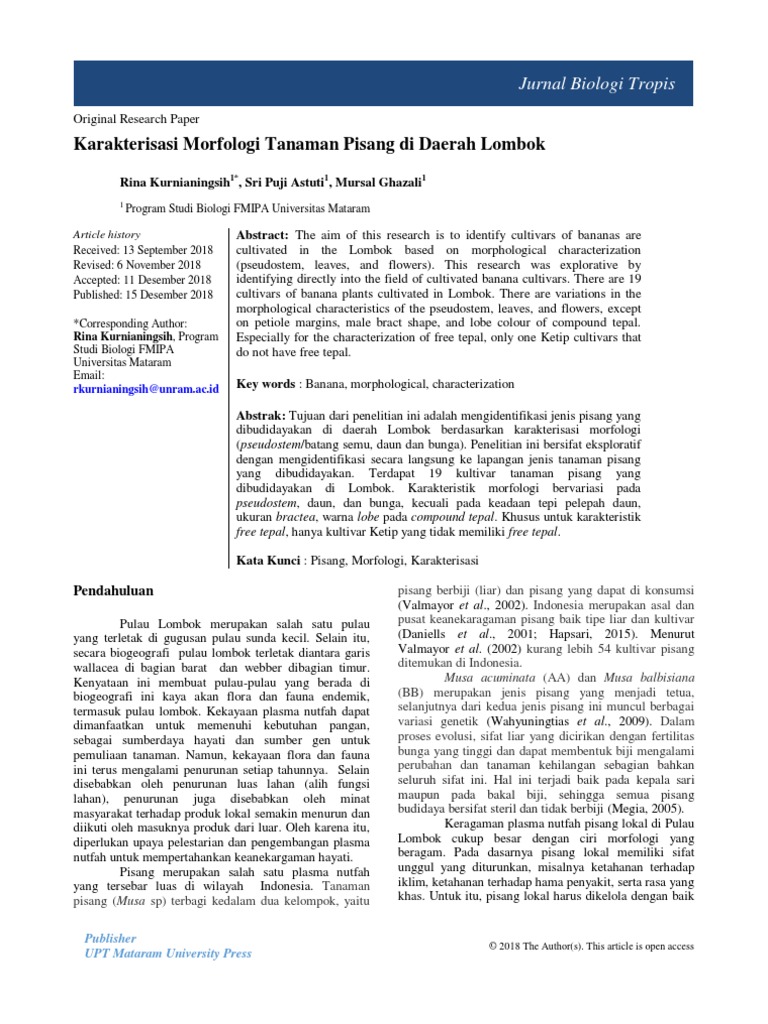 Karakterisasi Morfologi Tanaman Pisang D Adfe9a0c | PDF