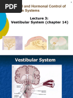 VNG Test Interpretation and Insights | PDF | Nervous System | Clinical ...