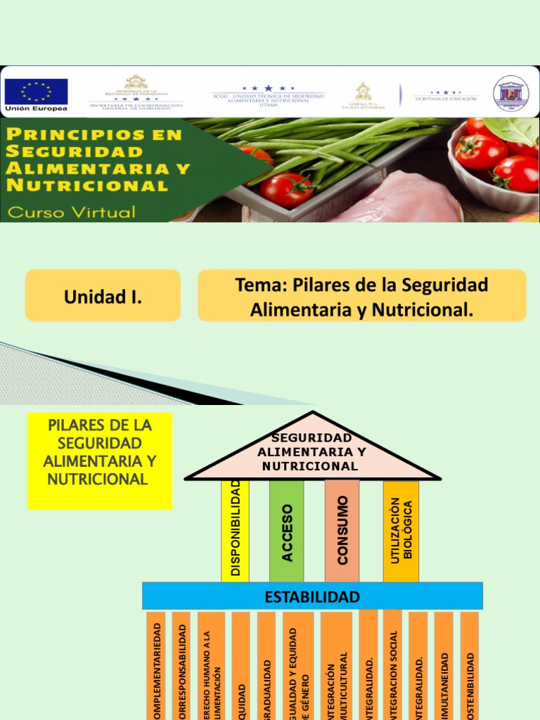 Pilares de La Seguridad Alimentaria y Nutricional | PDF | Seguridad alimentaria | Alimentos