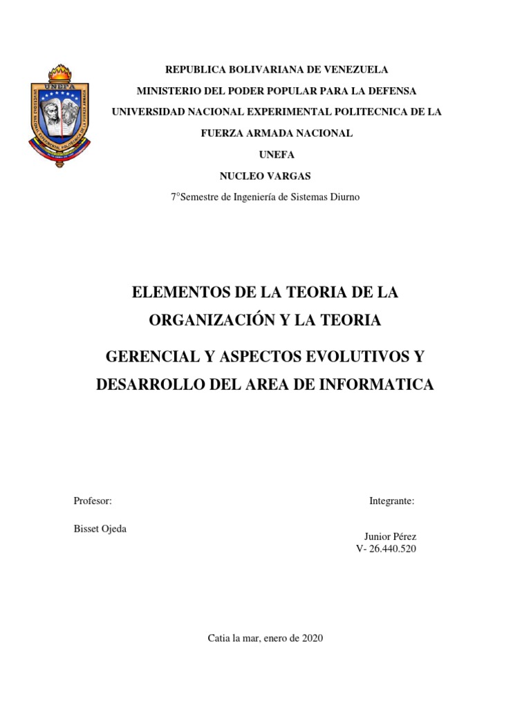 Gerencia Informatica | PDF | Planificación | Sistema de informacion