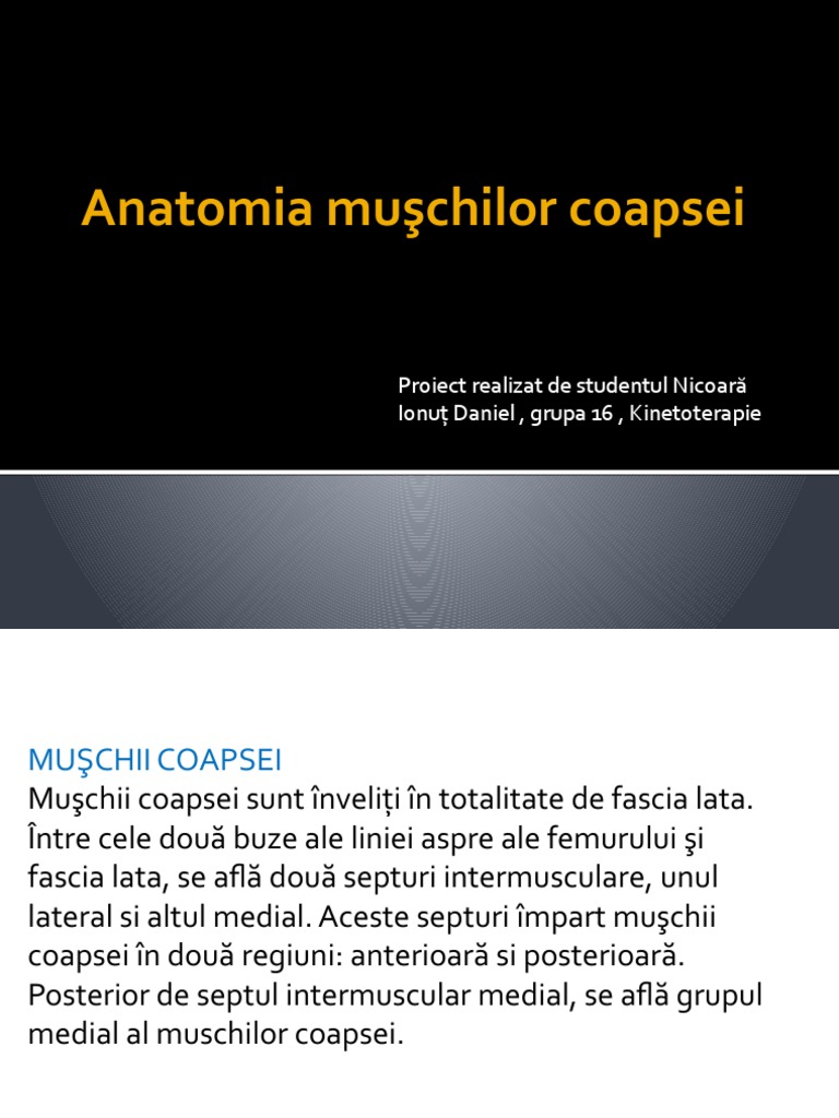 Anatomia Muşchilor Coapsei | PDF