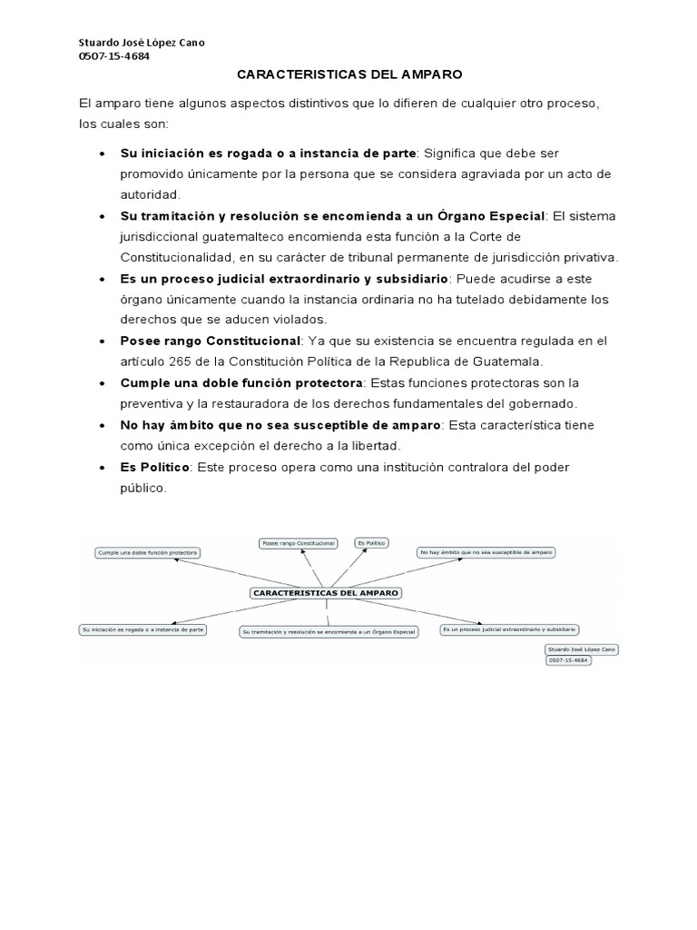 CARACTERISTICAS DEL AMPARO. José López | PDF | Derecho