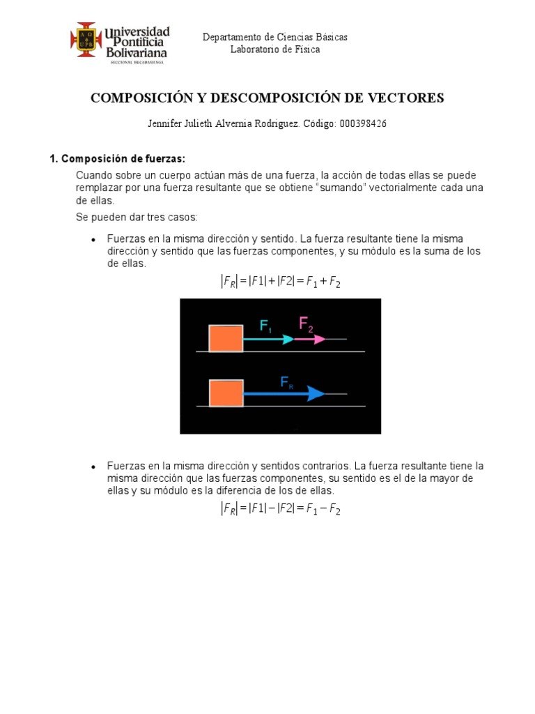 Pre Informe Composicion Y Descomposicion De Vectores Pdf Vector