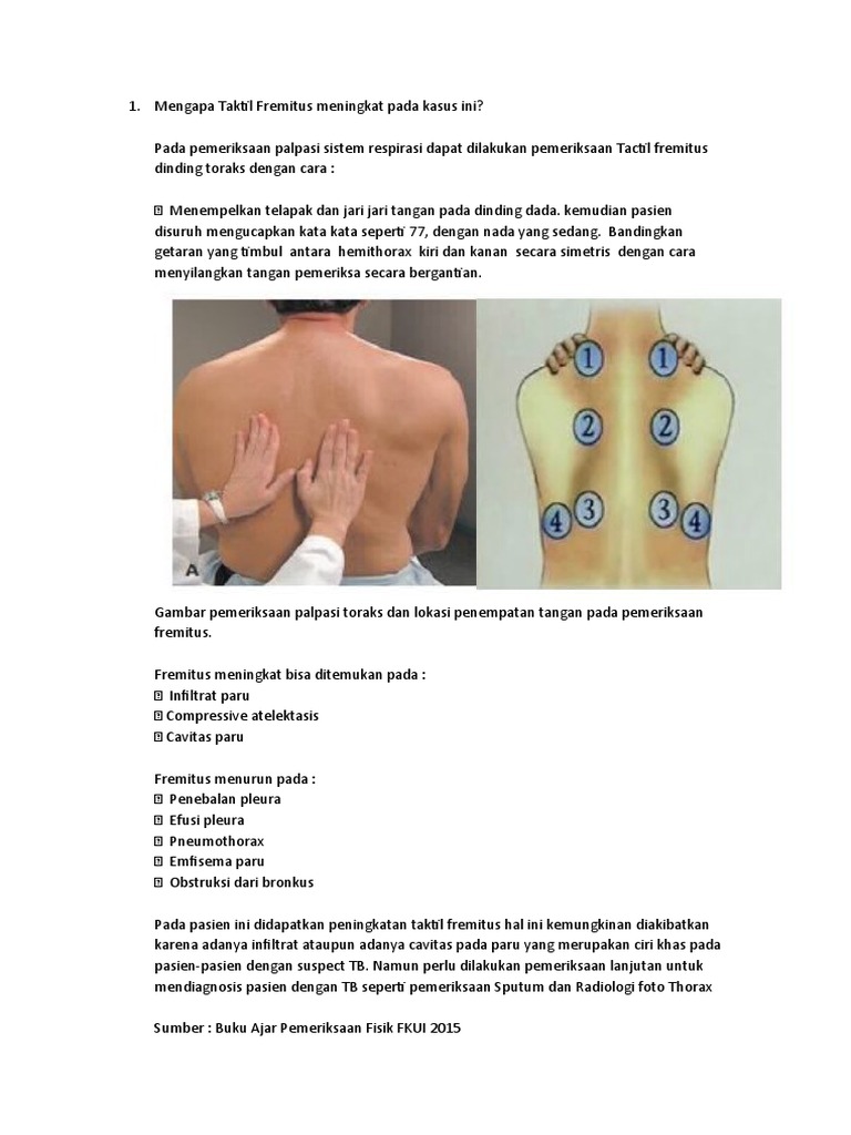 Mengapa Taktil Fremitus Meningkat Pada Kasus Ini | PDF