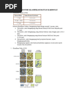 Foliasi and Non Foliasi | PDF