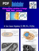 Konsep Dasar Biologi Molekuler | PDF | Rna | Messenger Rna