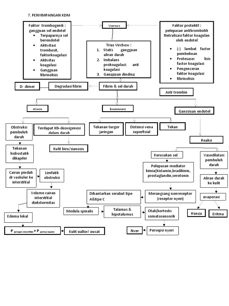 Pathway DVT Fix | PDF