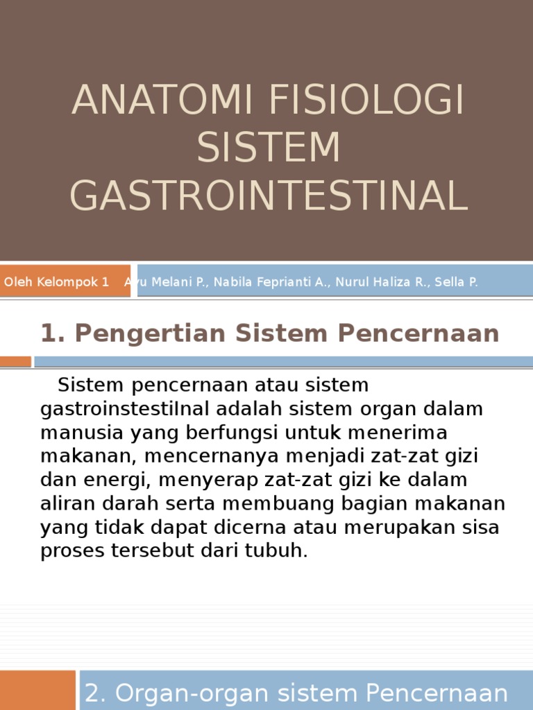 Anatomi Fisiologi Sistem Gastrointestinal | PDF Anatomi Fisiologi Sistem Gastrointestinal | PDF