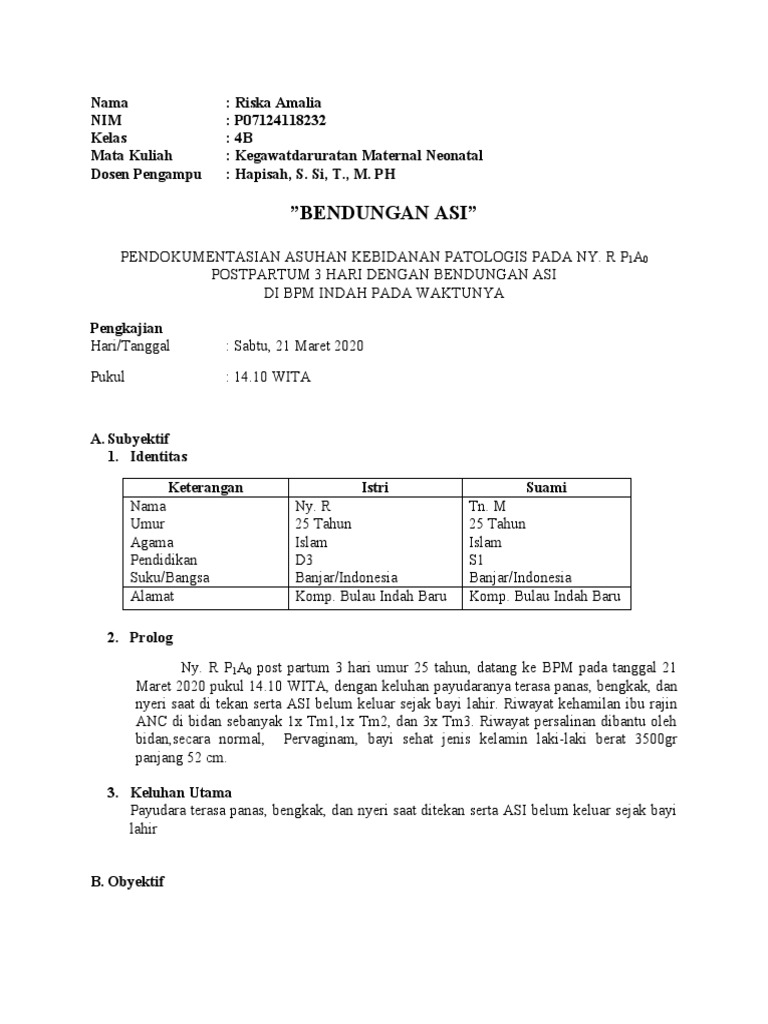 Soap Mastitis Riska Amalia Ibu Hapisah | PDF | Kesehatan Holistik