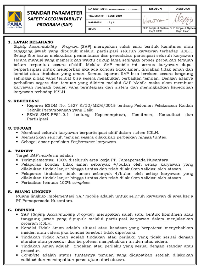 STD Parameter SAP - PAMA-SHE-PPS1.2.1-STD001 | PDF