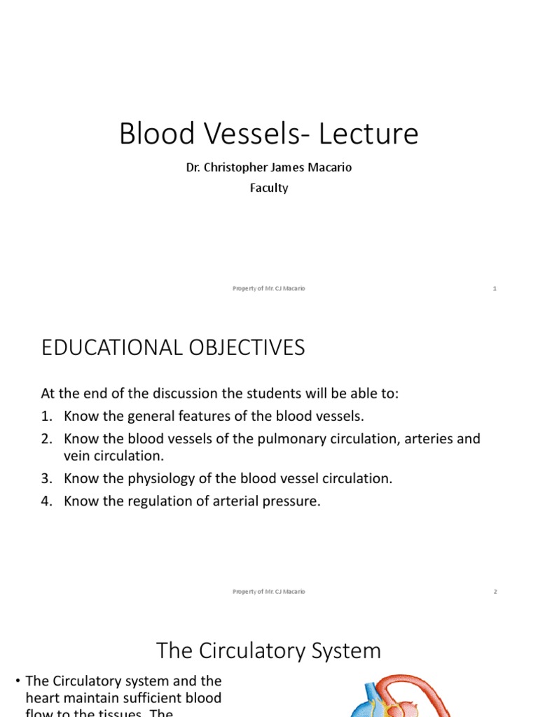 Blood Vessels - Lecture PDF | PDF | Blood Vessel | Circulatory System