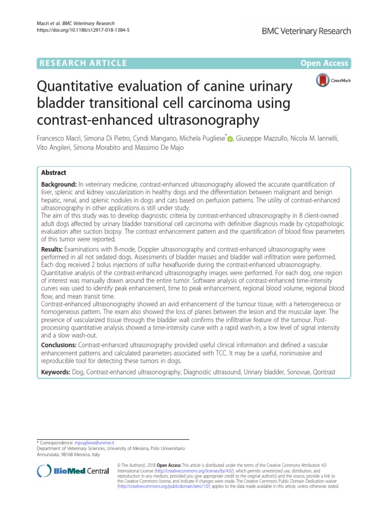 Transtitional Buli Cancer | PDF | Medical Ultrasound | Medical Imaging