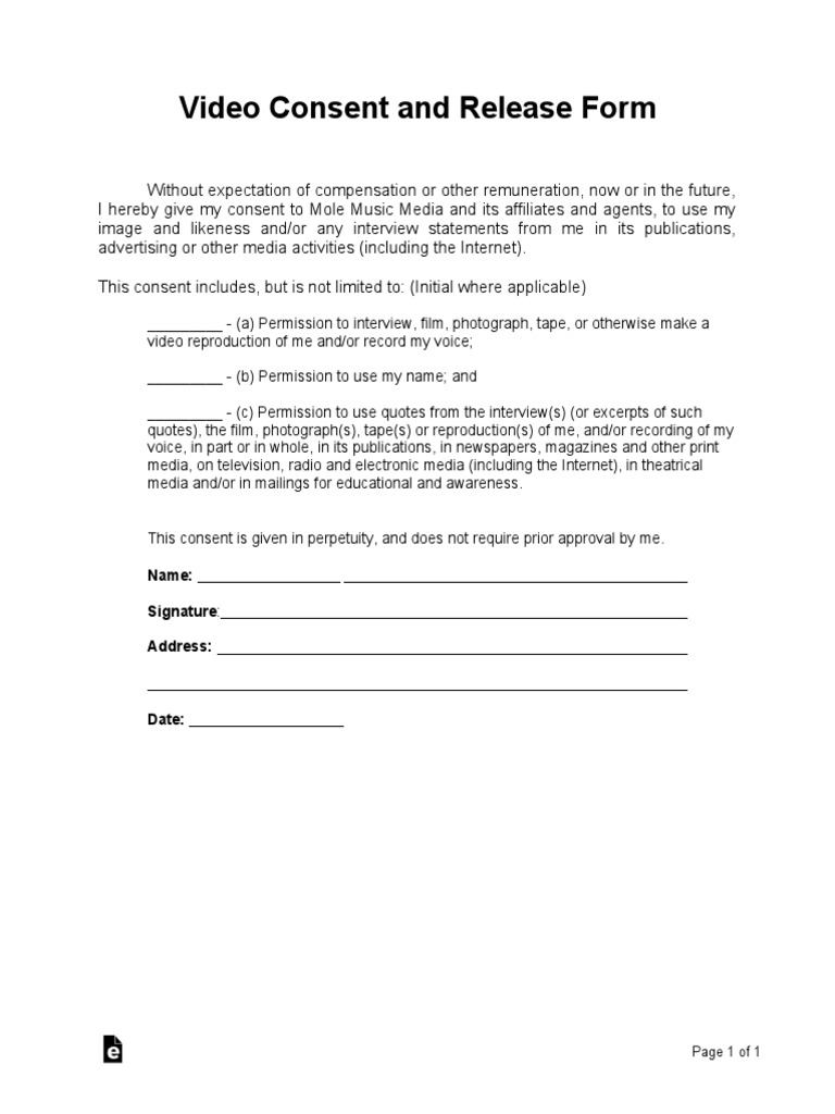 Video Consent Form | PDF