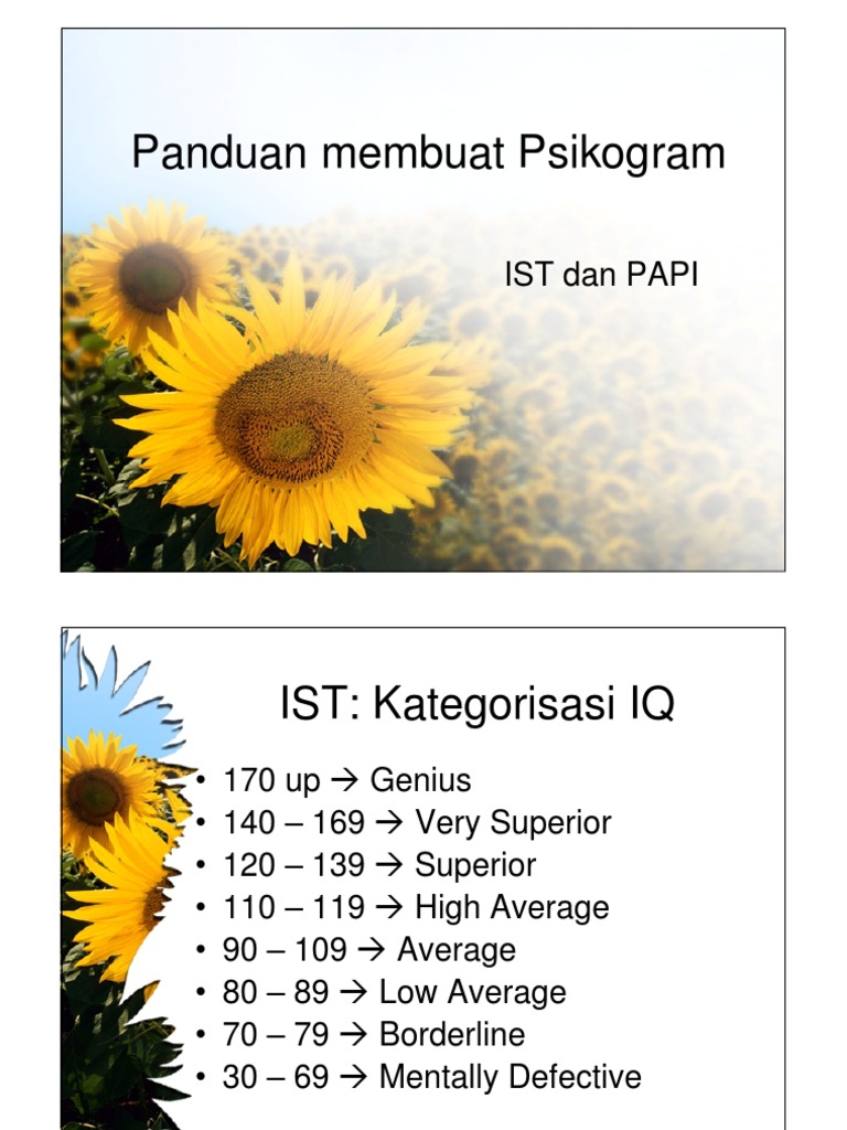General - Panduan Membuat Psikogram IST Dan PAPI | PDF