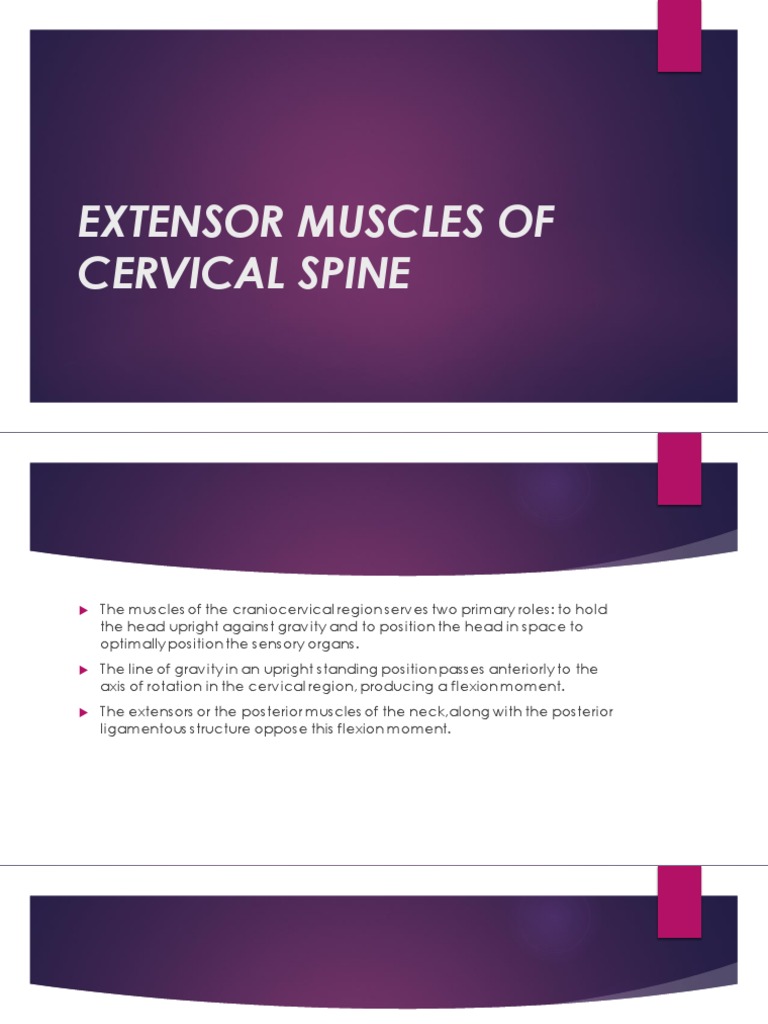 Cervical Extensors | PDF | Vertebra | Neck
