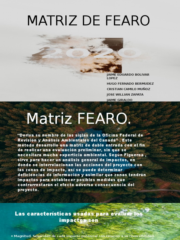Matriz de Fearo | PDF