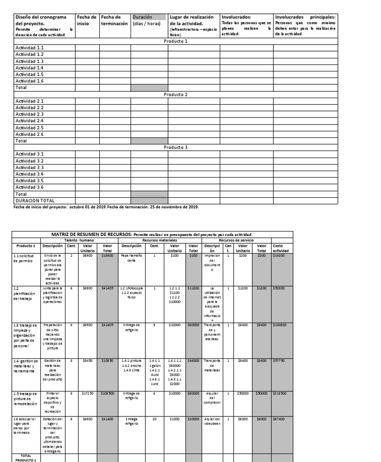 Matriz de Resumen de Recursos y Cronograma de Ejecucion Del Proyecto | PDF | Economias | Business